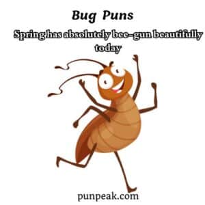 164 Bug Puns And Jokes That Will Totally Insect You With Laughter